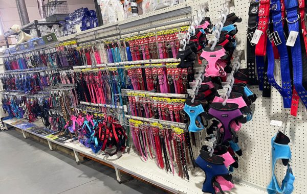 Dog Products - Pets R Us Raymond Terrace