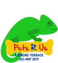 Pet Shop Raymond Terrace near Maitland Phone (02) 4987 2872 - Pets R Us ...