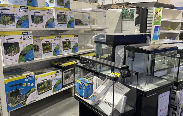 Fish aquarium pet supplies - Pets R Us Raymond Terrace