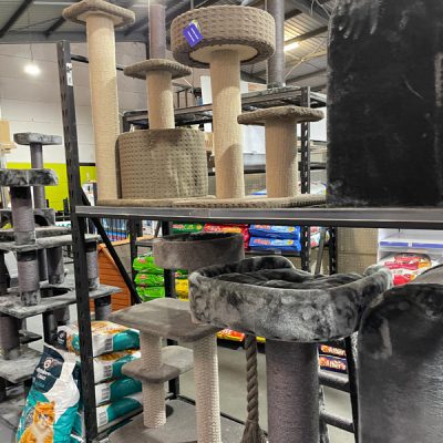 Cat Products - Pets R Us Raymond Terrace