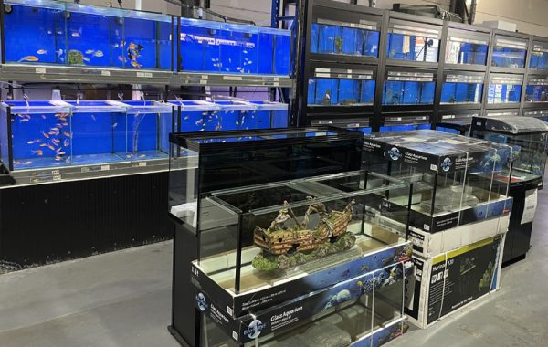Fish aquarium pet supplies - Pets R Us Raymond Terrace